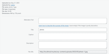Replace Media Files in the WordPress Media Library (Manually, Plugin, WP-CLI)
